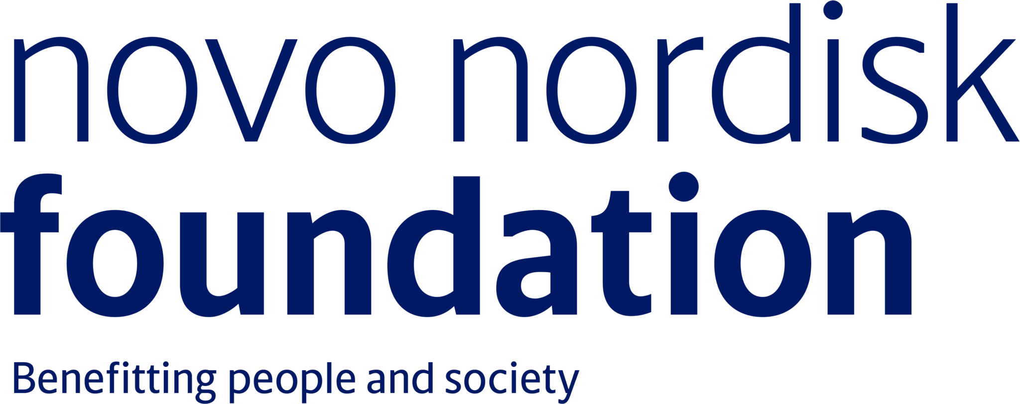 About Us - Constructive Institute