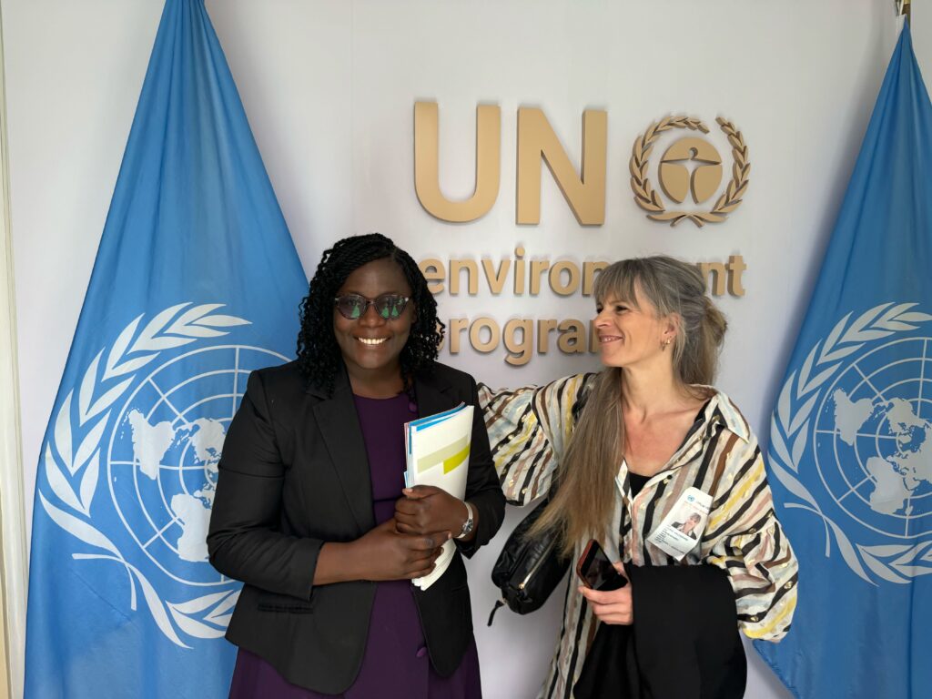 - Constructive Institute