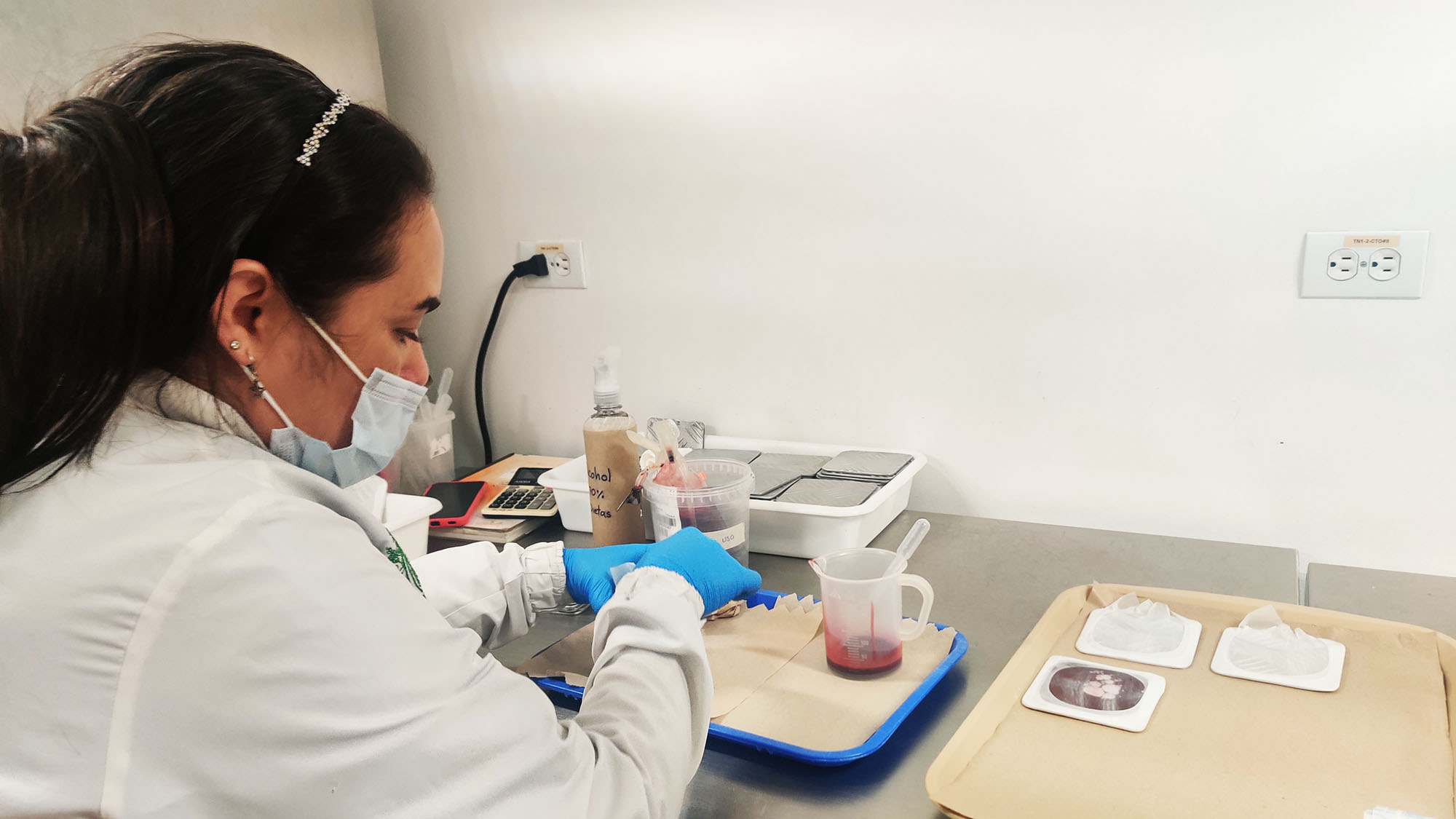 - Constructive Institute